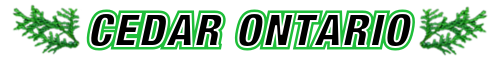 Emerald Cedars - CEDAR ONTARIO